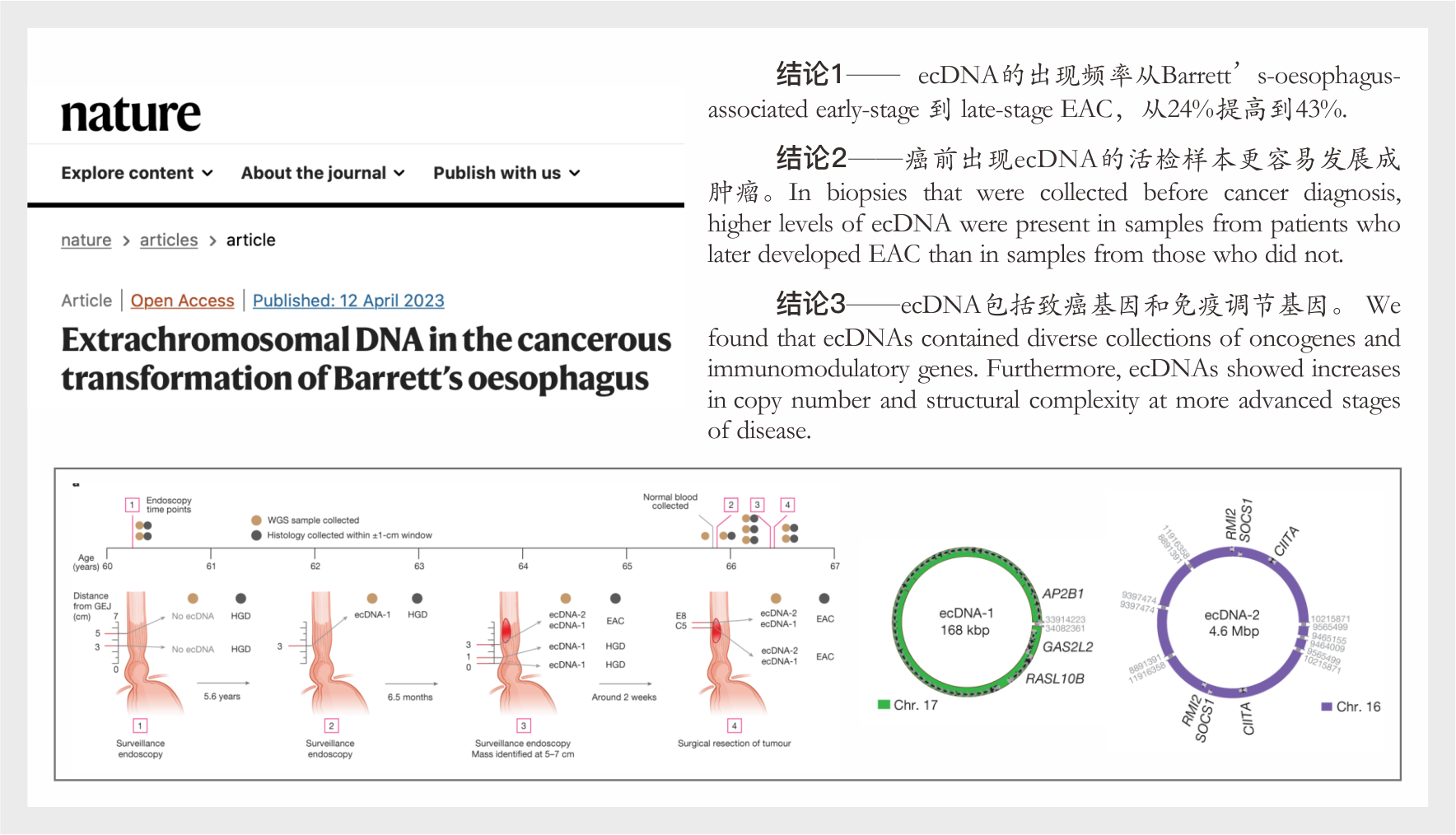 Circle-seq-eccDNA/ecDNA的意义和应用 - 上海嘉因生物
