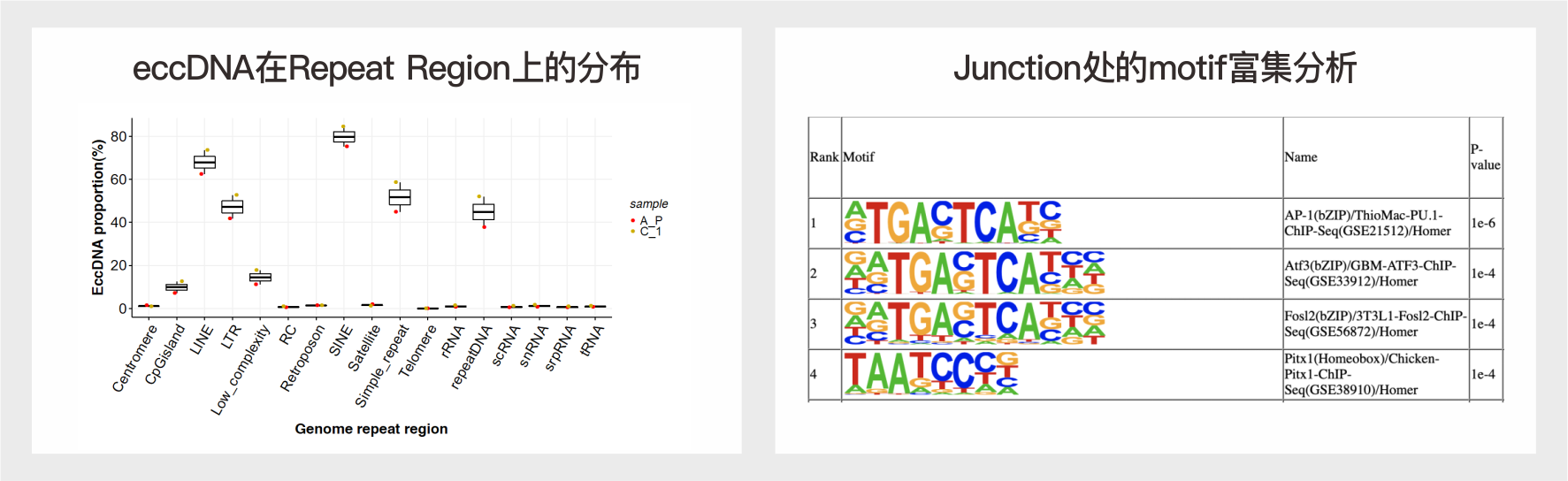 Circle-seq-eccDNA/ecDNA的意义和应用 - 上海嘉因生物